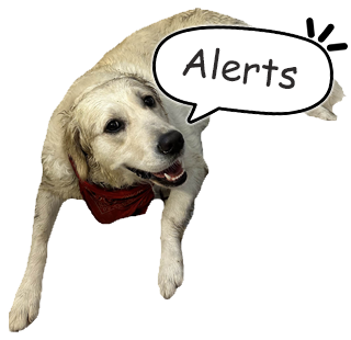 【kichike】| PikoLive - 遊戲、電視、節目線上看