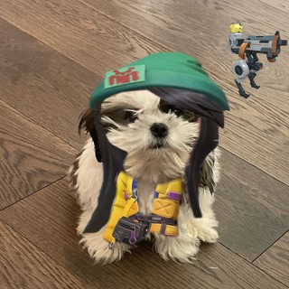 【keawave】| PikoLive - 遊戲、電視、節目線上看