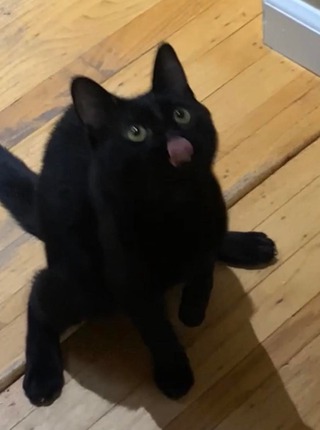 【wahoopunch】| PikoLive - 遊戲、電視、節目線上看